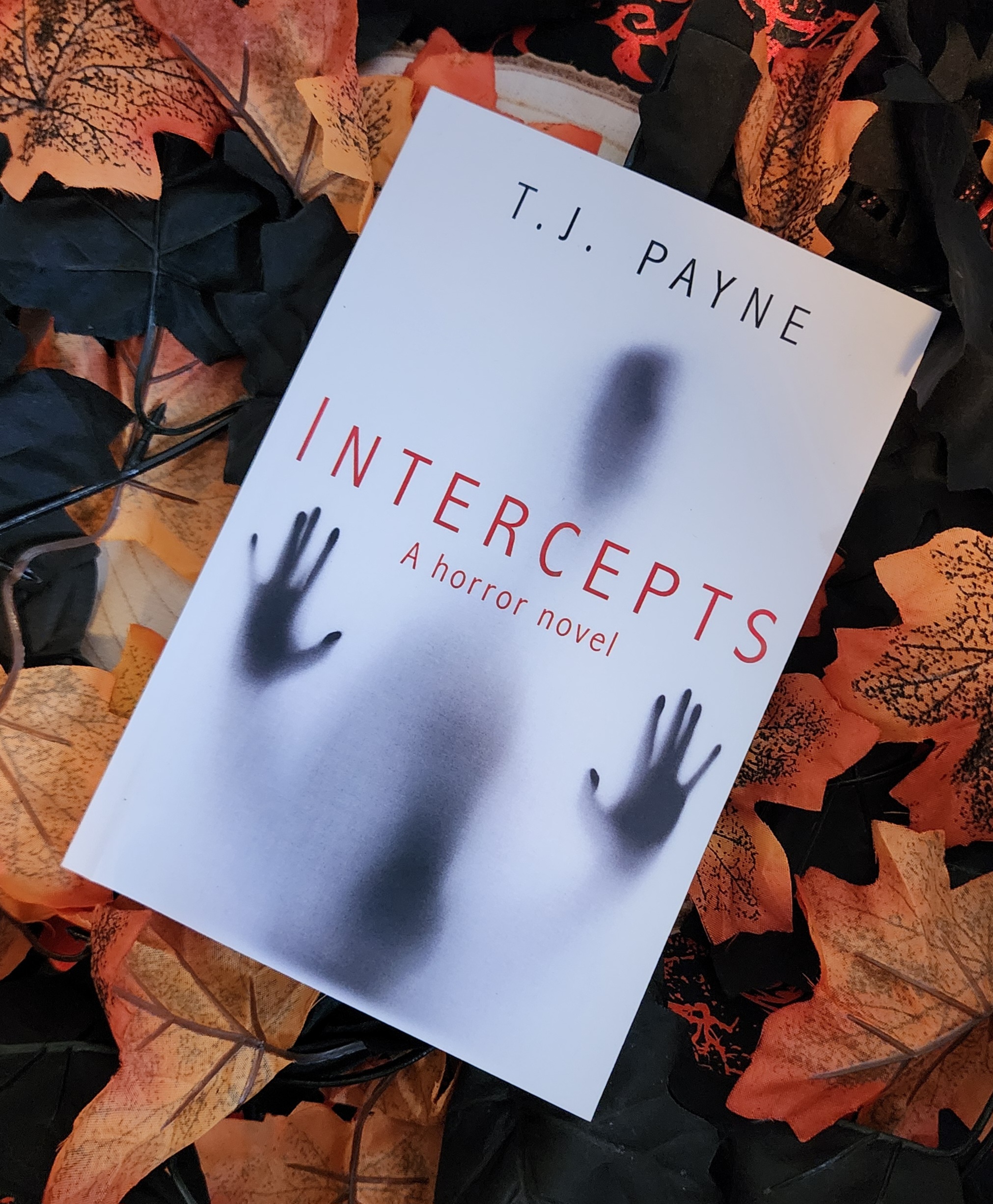 Intercepts by T.J. Payne – Nightmare On Hansen