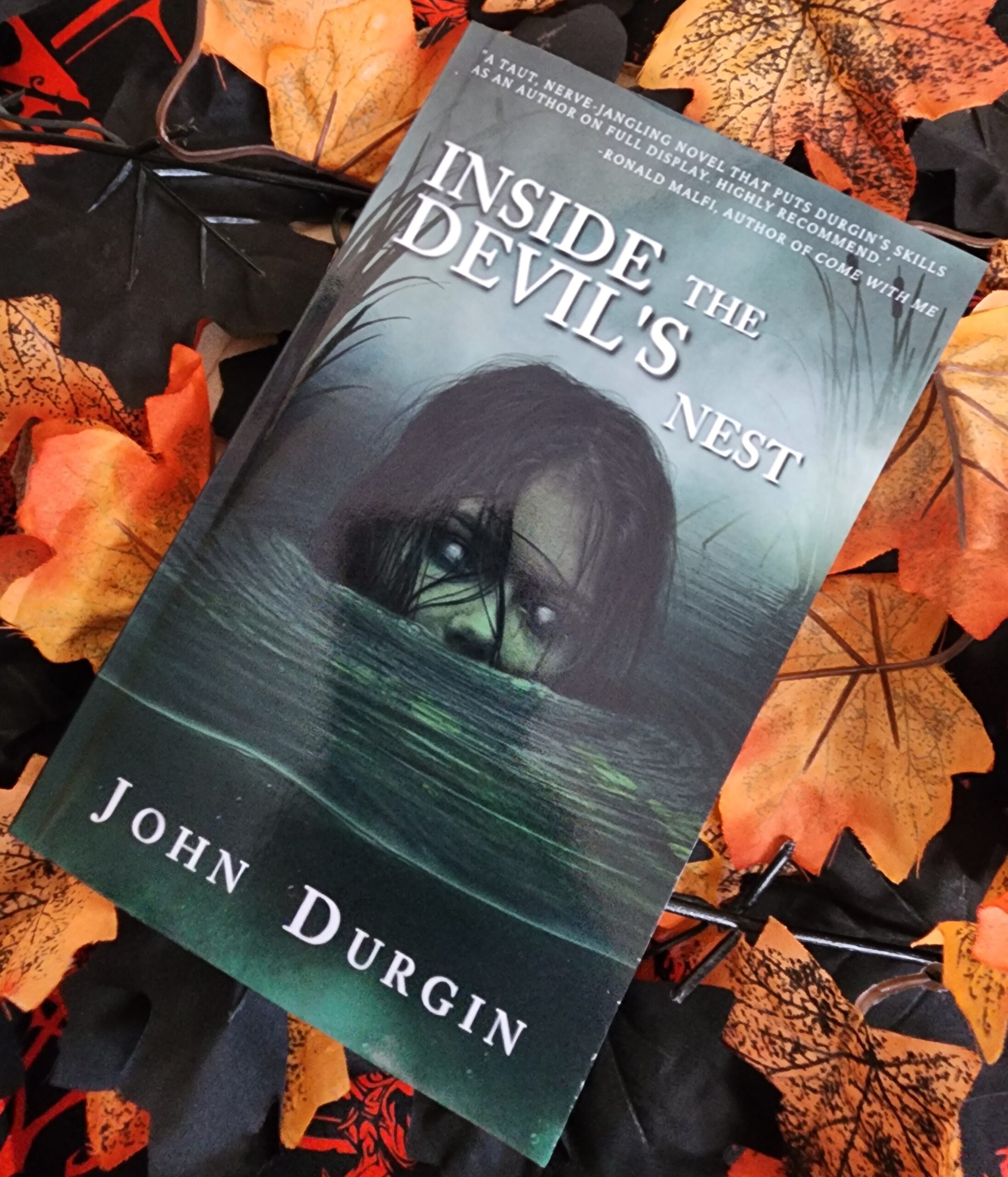 Inside the Devil’s Nest by John Durgin – Nightmare On Hansen